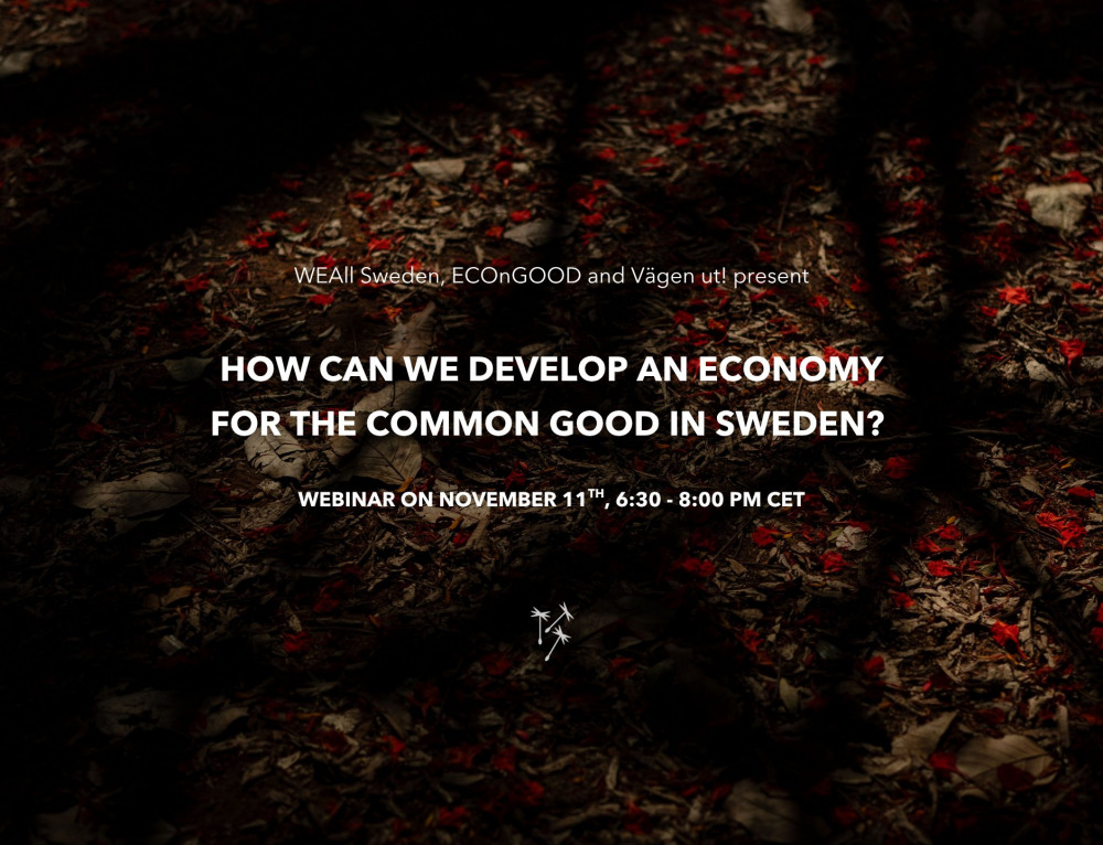 Economy for the Common Good: a pathway for climate adaptation and ...